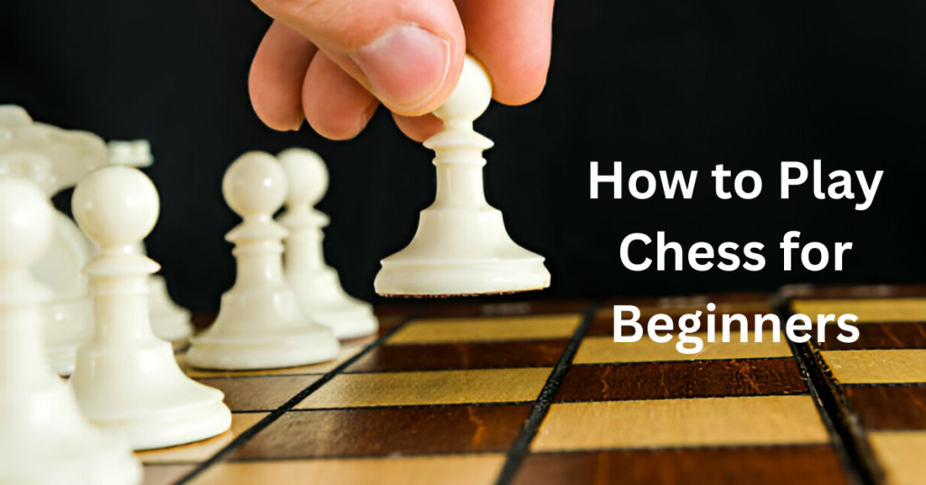How to Play Chess for Beginners - Chess Blog
