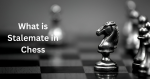 What is Stalemate in Chess - Chess Blog